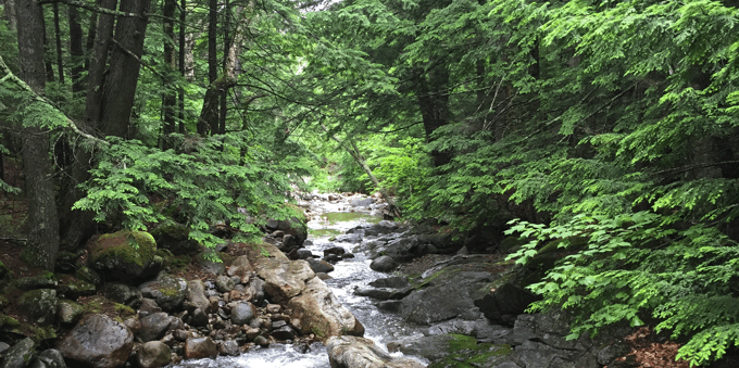 Book Review: 'Gaviotas, A Village to Reinvent the World' | Green Newton