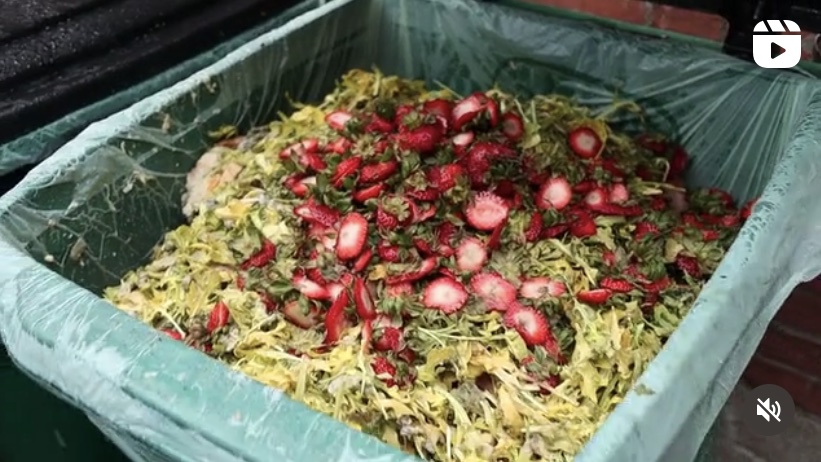 Composting at Johnny’s Luncheonette and Other Newton Restaurants