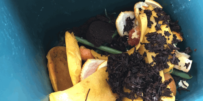 Composting in America: A Path to Eliminate Waste, Revitalize Soil and ...